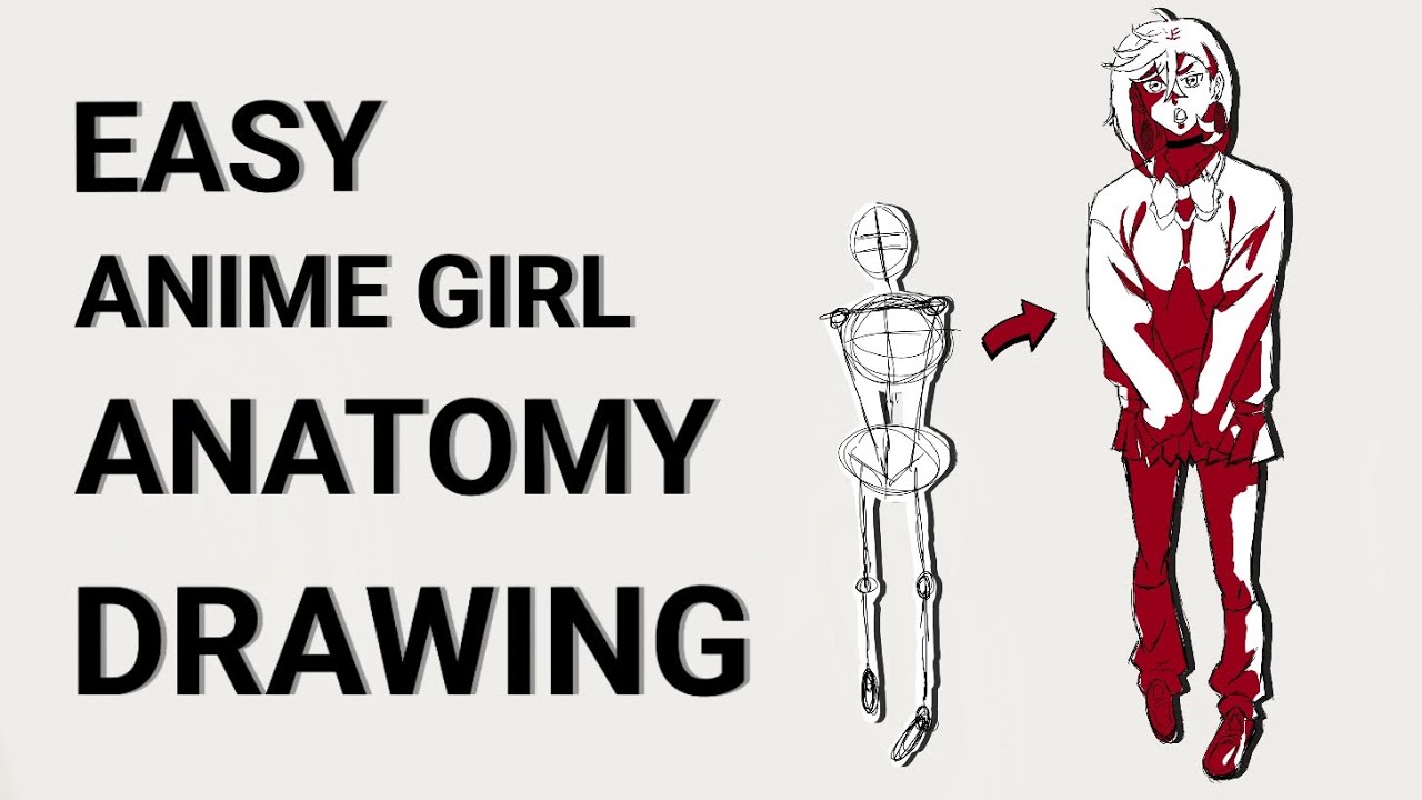 How to Draw Easy Anime Girl Anatomy || Anatomy for beginners - YouTube