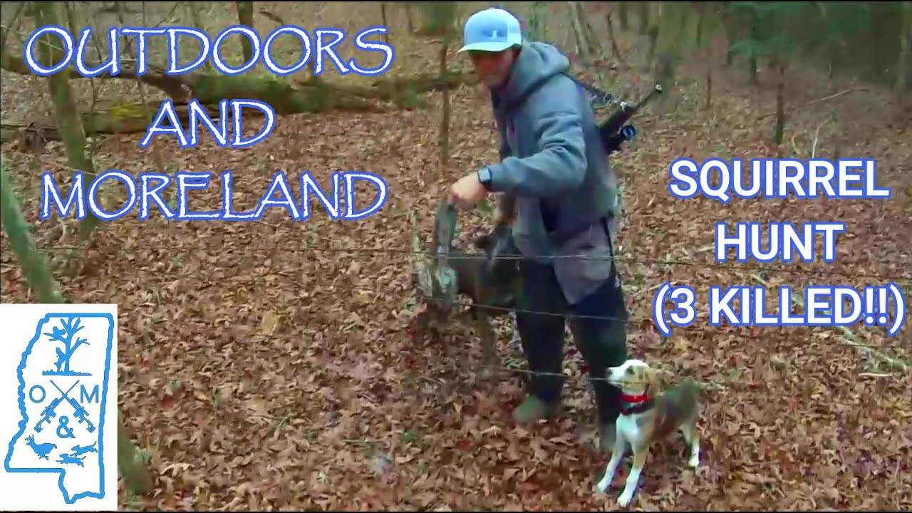 squirrel hunting - squirrel hunting with dog videos( killshots!!) 2020 ...