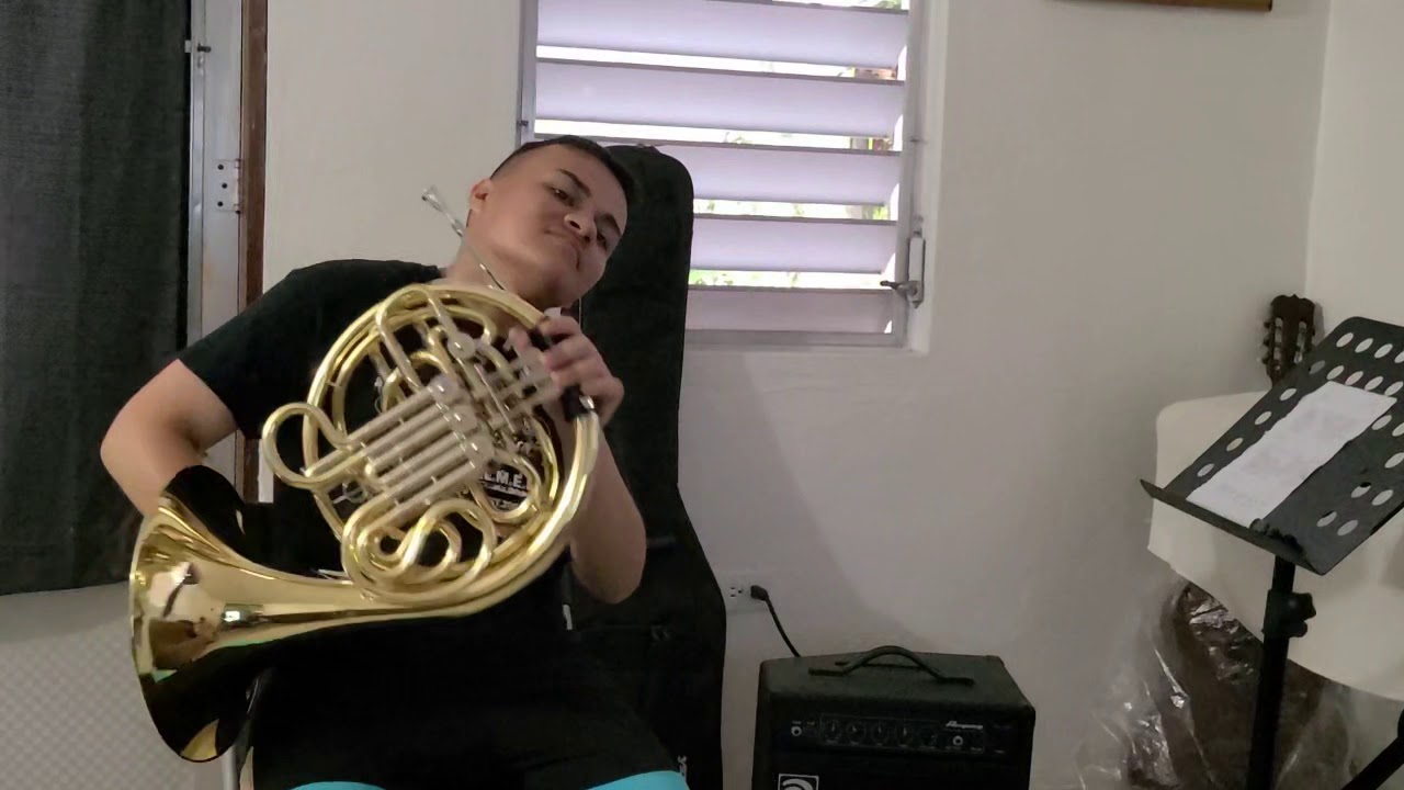 Swan Lake french horn solo - YouTube