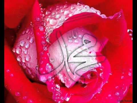 Bir Hadis şair Hasan ile ilgili