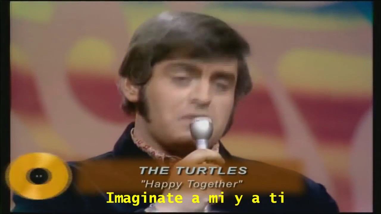 The turtles - YouTube