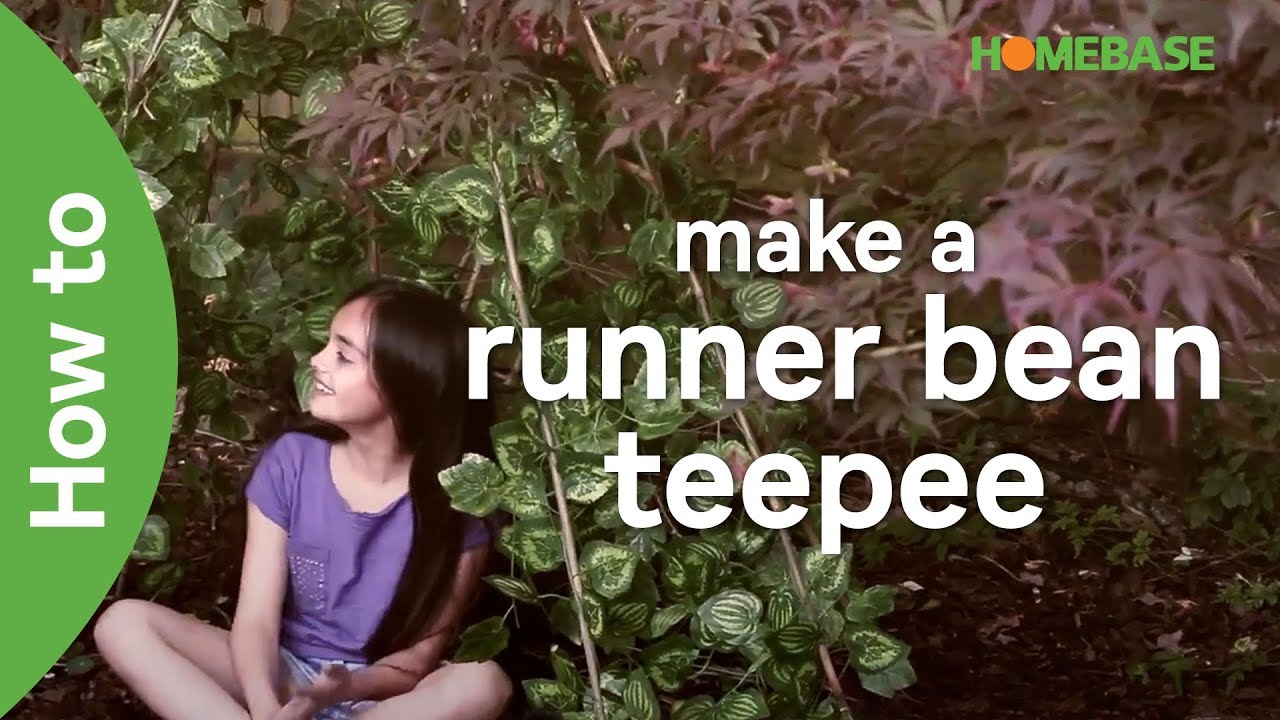 How to make a runner bean teepee | kids gardening ideas | Homebase ...