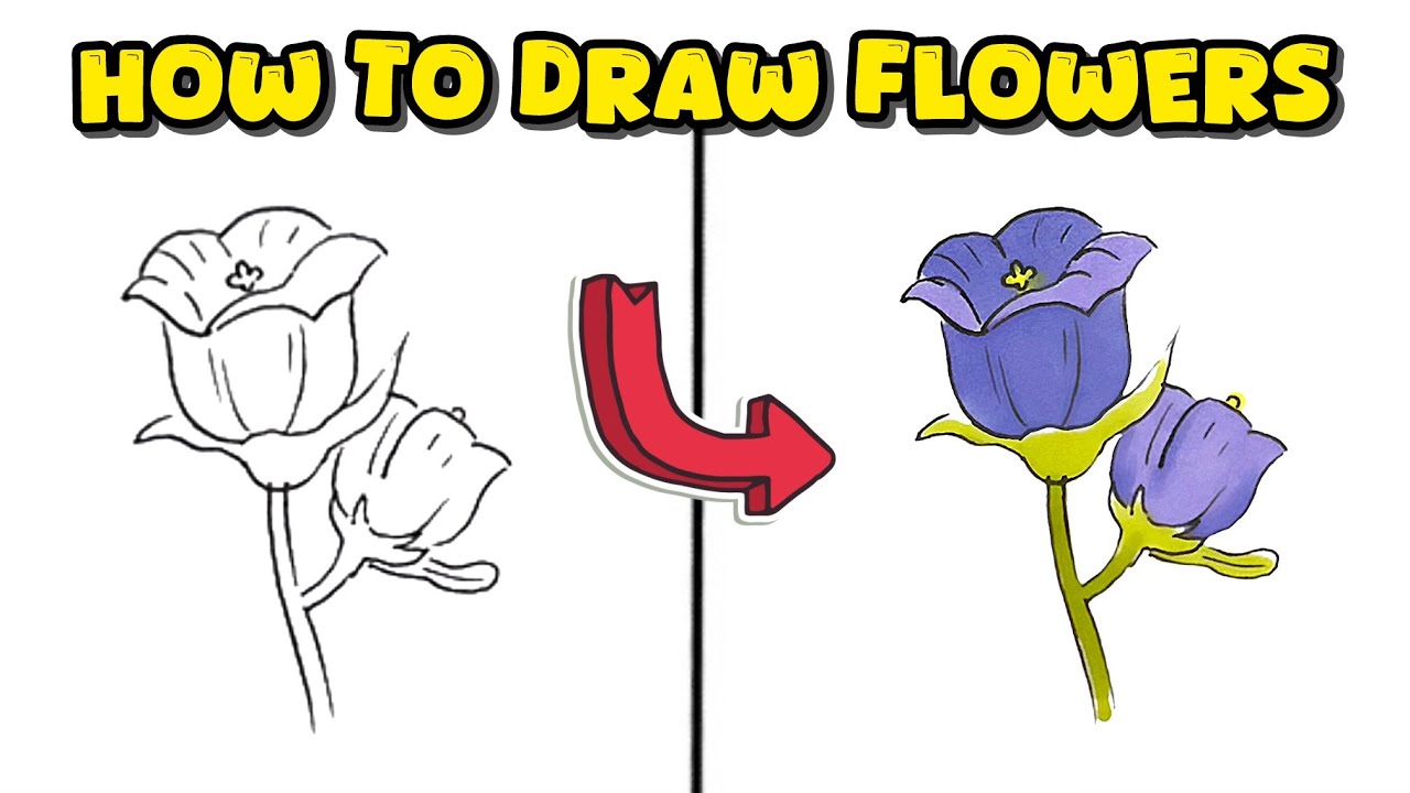 How to Draw a Campanula Flower – Beautiful Floral Drawing Step-by-Step ...
