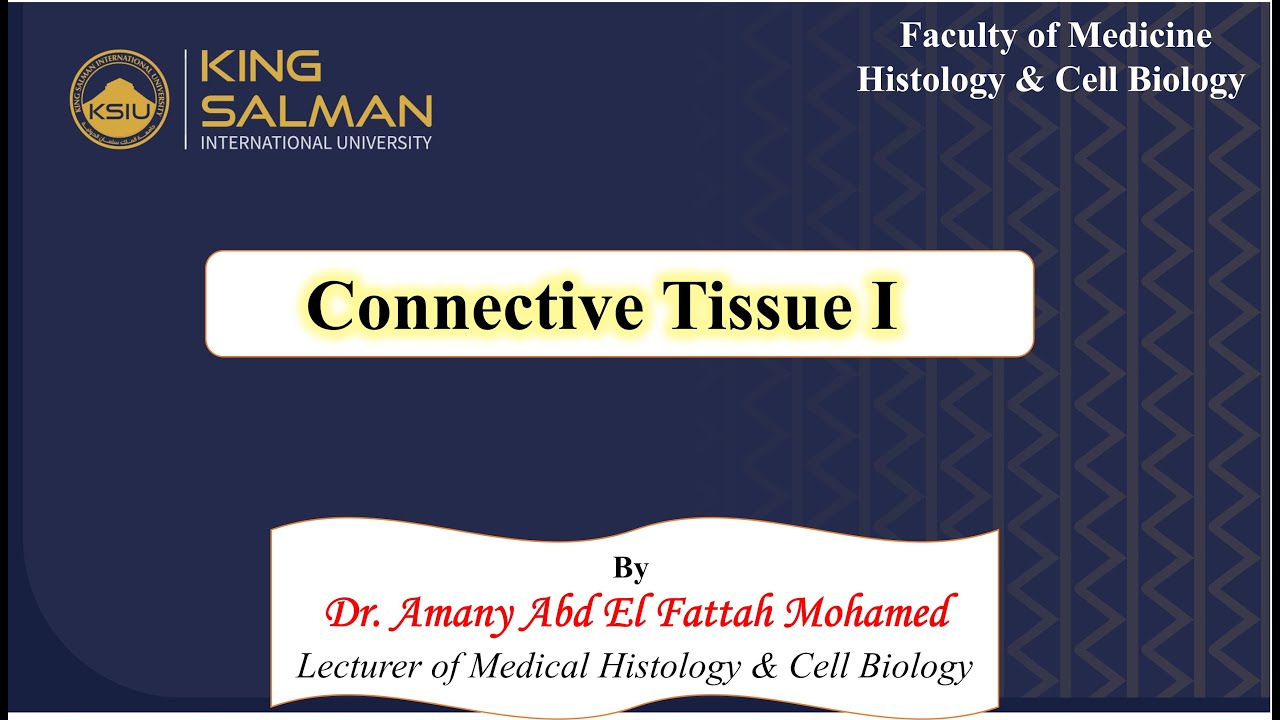 Connective tissue lecture 1 (C.T cells) - YouTube