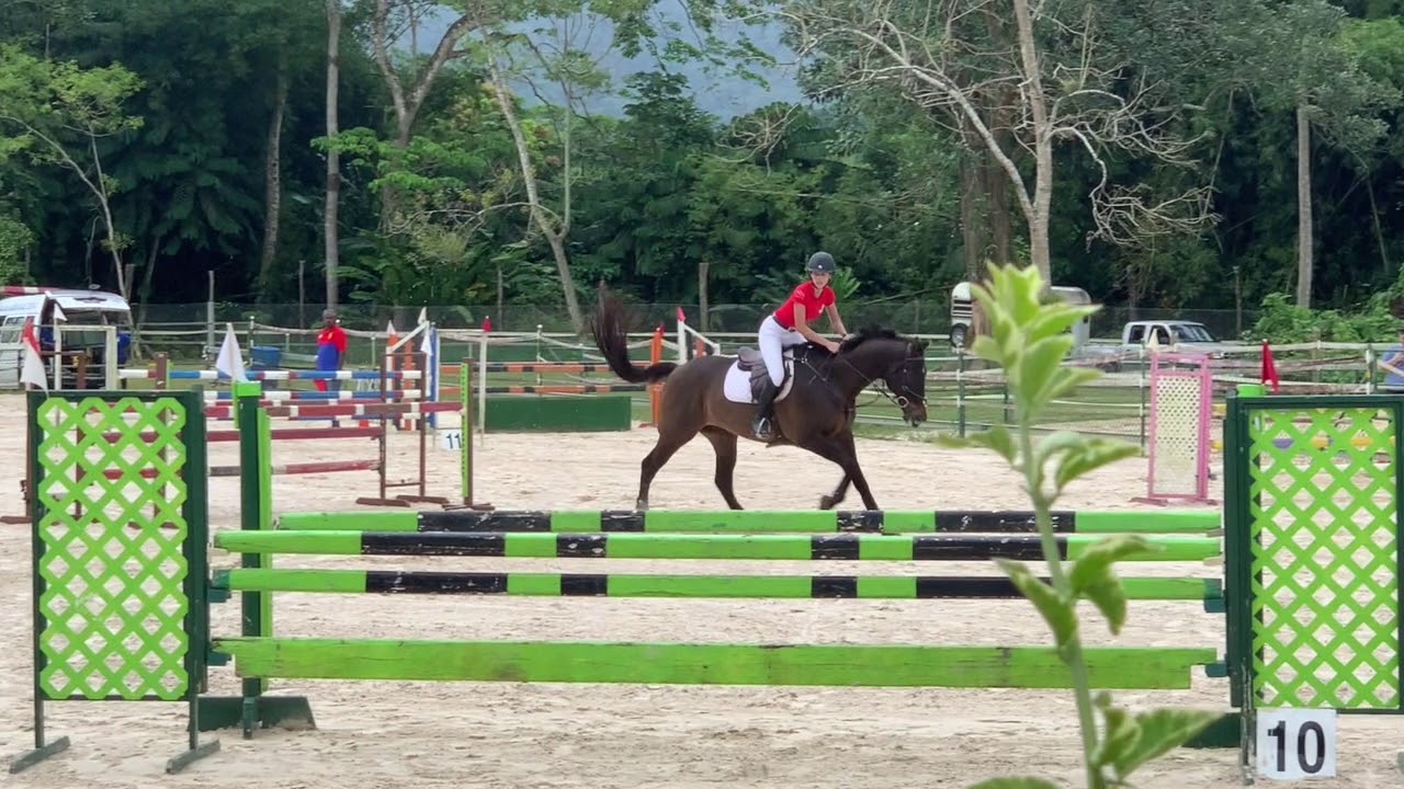 Jordanne Brown | Equestrian Recruiting Video - YouTube