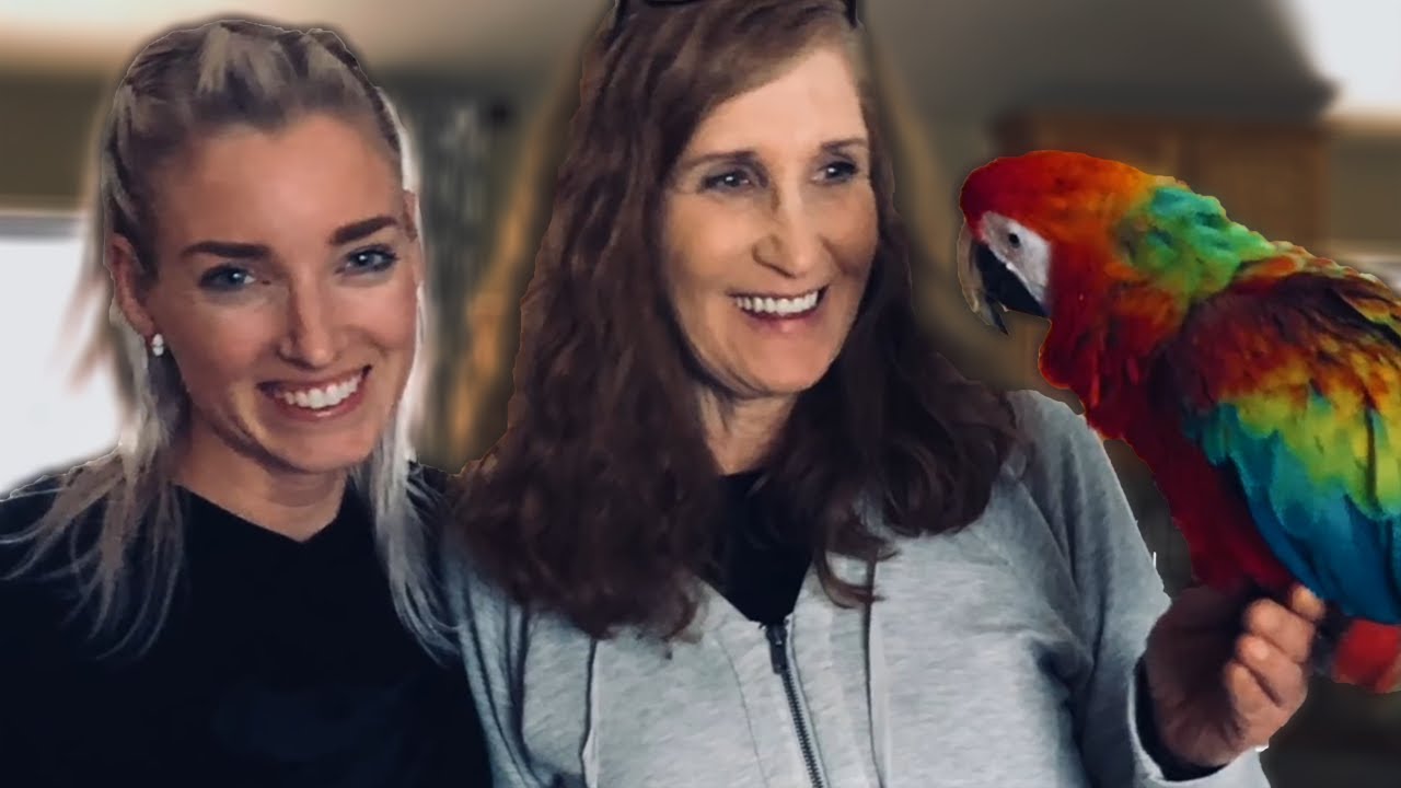 Patty & Morgan Make PROGRESS! - YouTube