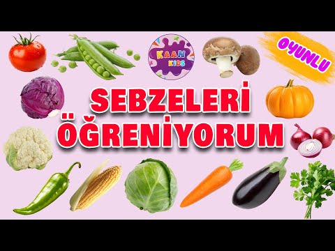 Sebzeleri Öğreniyorum | Sebzeleri Tanıyalım | Çocuklar İçin | Okul Öncesi Eğitici Video