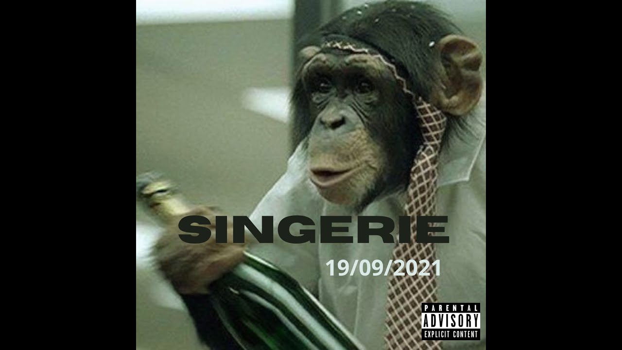 Singe- Singerie(Audio) - YouTube