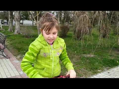 #Сигвей с ручкой 😉☝️ - YouTube