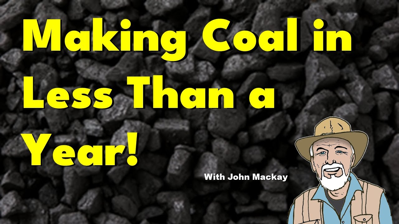 Making Coal in Less Than a Year! #coal #geology #experiment #viral ...
