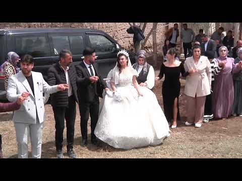 Iğdır Panik Köyü Düğünü | İbrahim & İrem | Köy Düğünü & Halay | Doğu Düğünleri