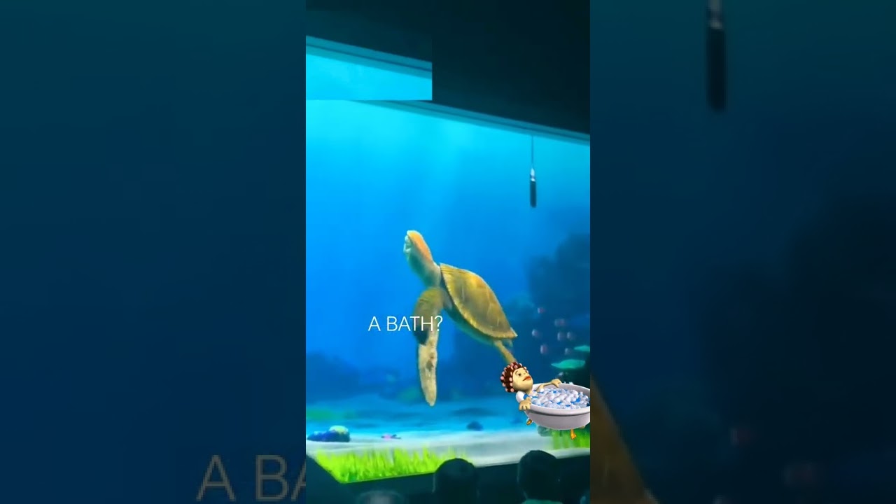 Turtle talk with crush. HOW DO TURTLE TAKE A BATH 😄 - YouTube