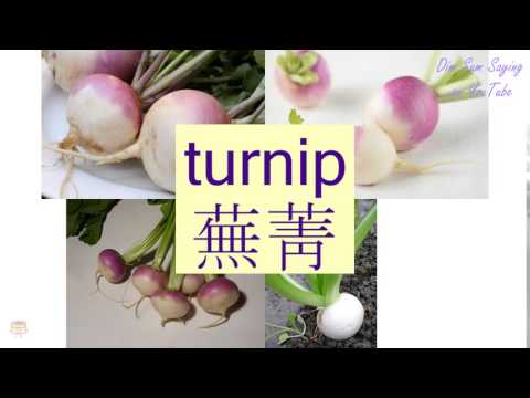 "TURNIP" in Cantonese (蕪菁) - Flashcard - YouTube