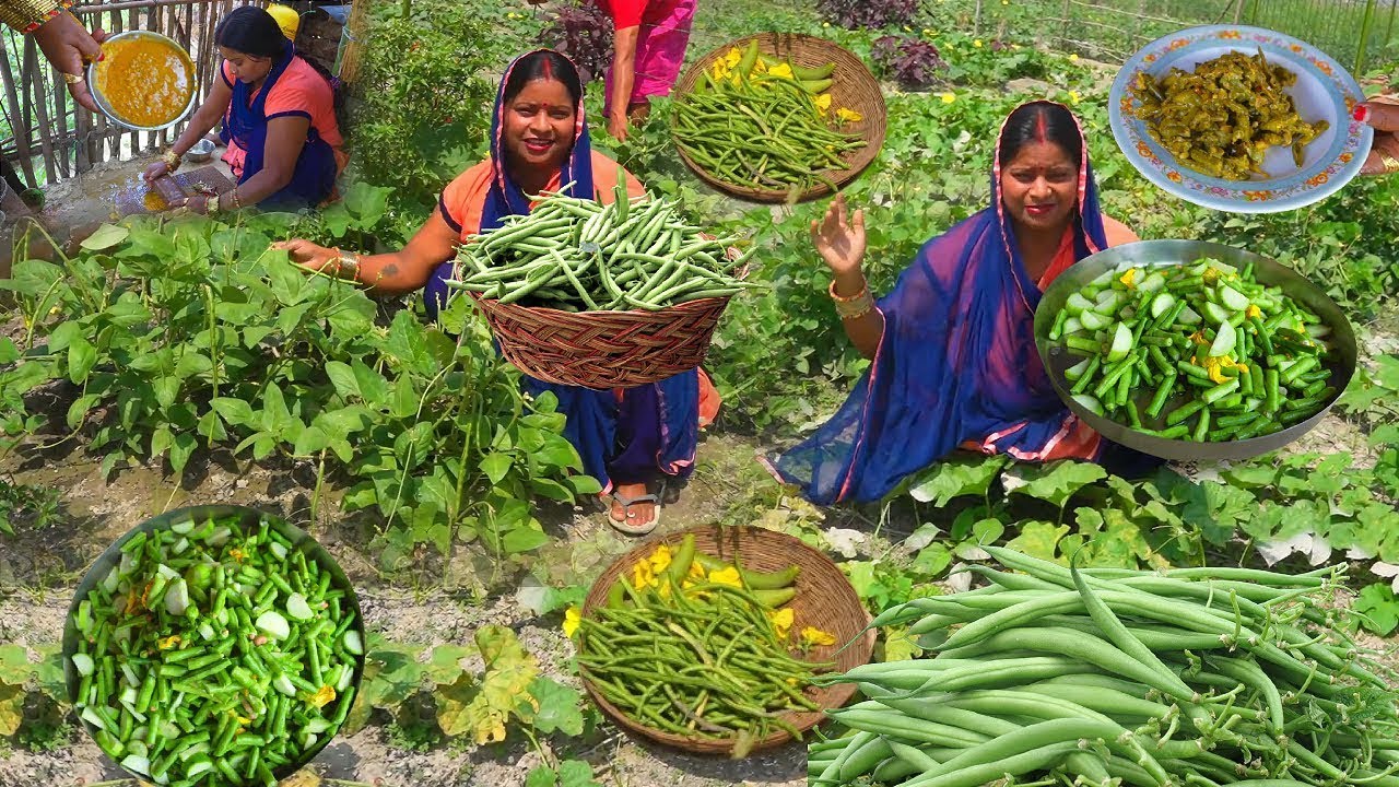 तोरी-तोरी के फूल & लोबिया की सब्जी jhingni तुरई की सब्ज़ी इतनी ...