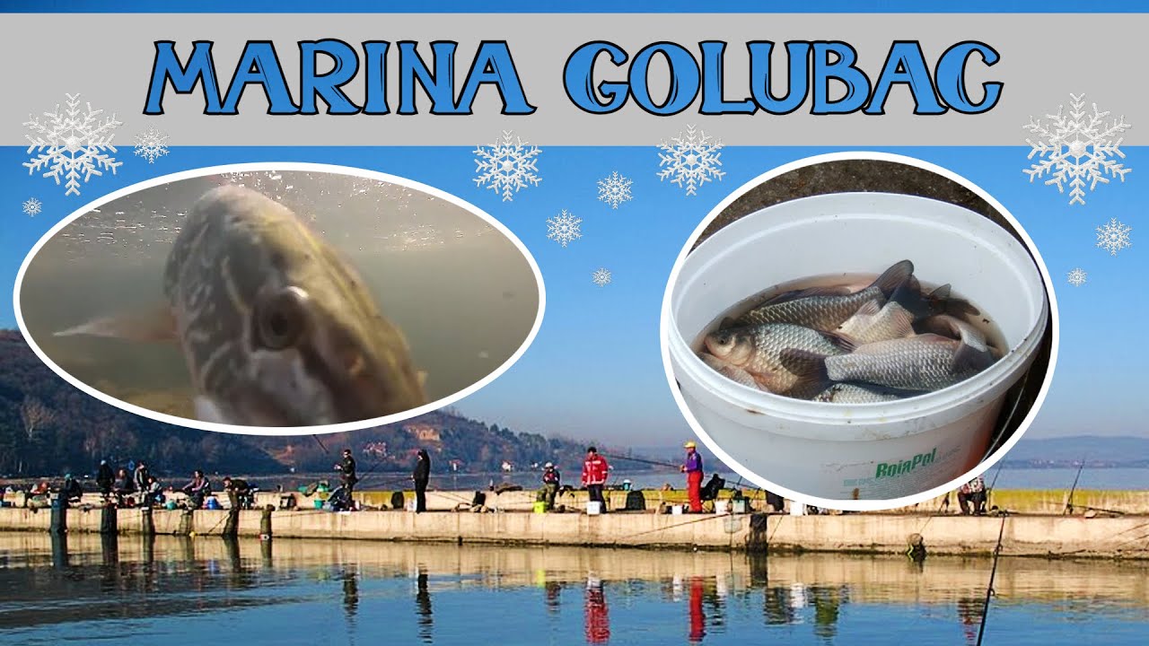 Zimsko pecanje babuske i stuke u marini Golubac | Winter fishing for ...