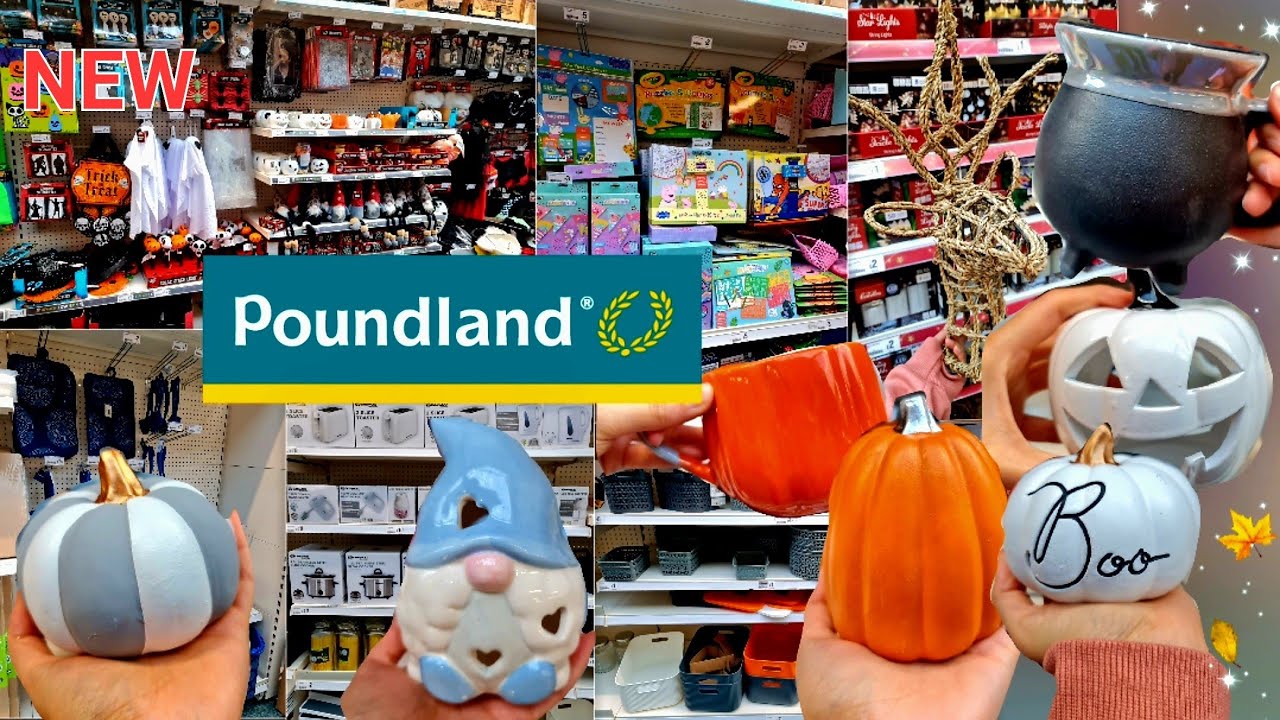 IT'S FINALLY HERE! 🤩 POUNDLAND AUTUMN 2022! 🍂 😍 🎃 HOME, Stationery ...