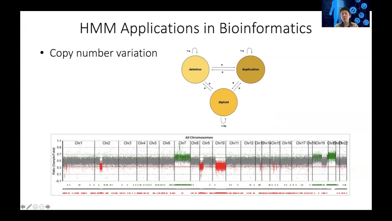 STAT115 Chapter 14.8 HMM Bioinformatics Applications - YouTube