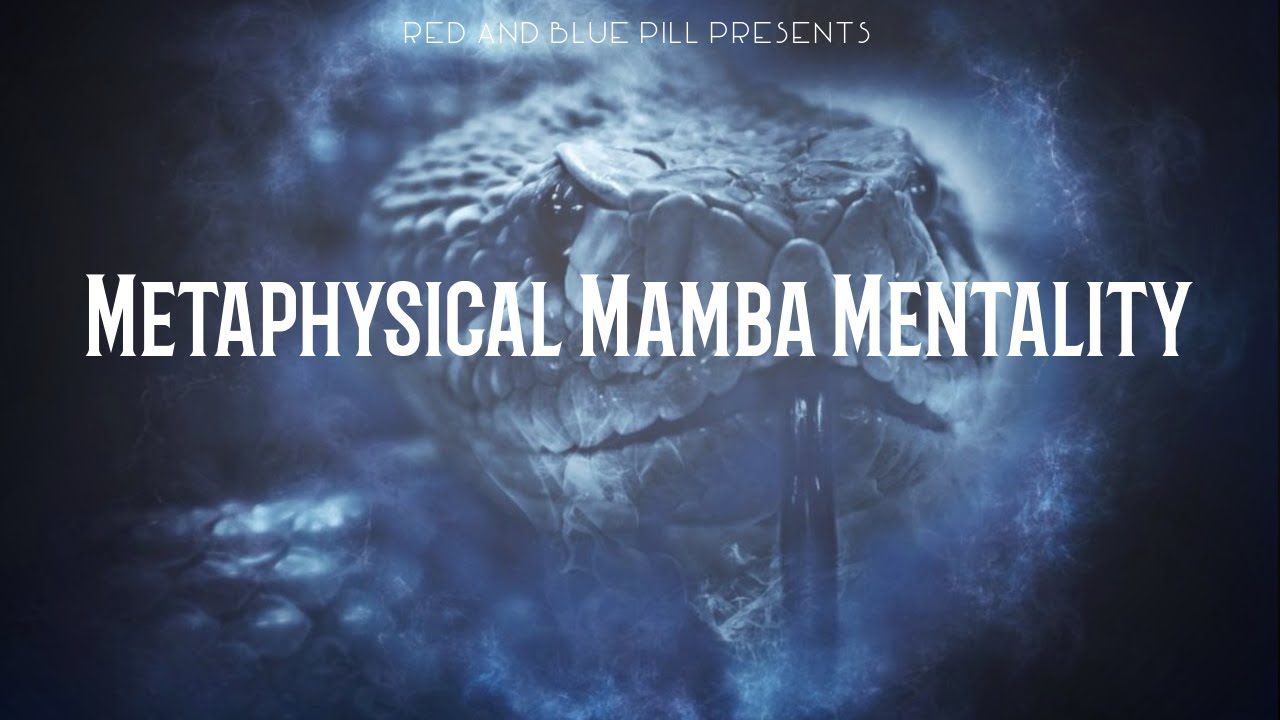 Red & Blue Pill- Metaphysical Mamba Mentality - YouTube