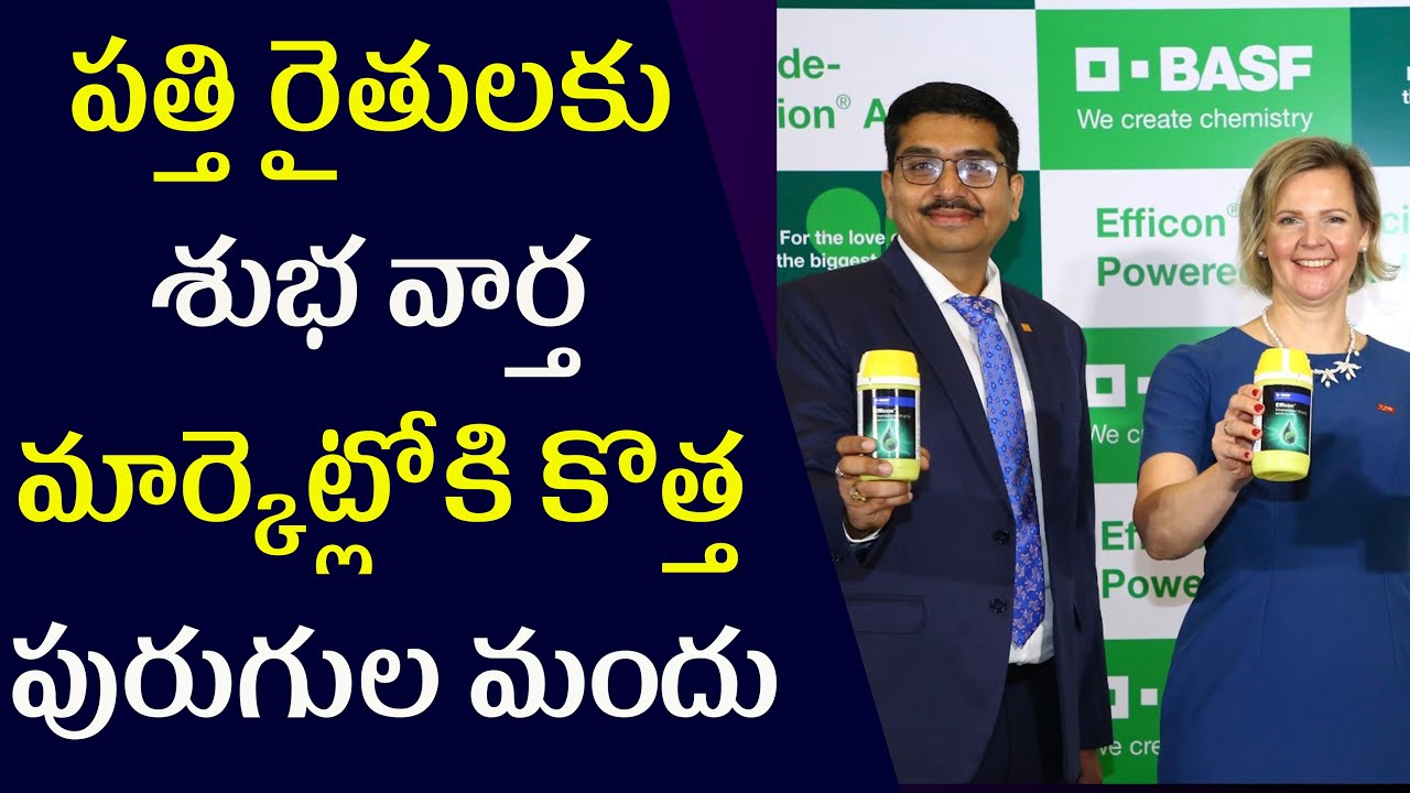 Efficon Insecticide to support Indian farmers | BASF reiterates its ...