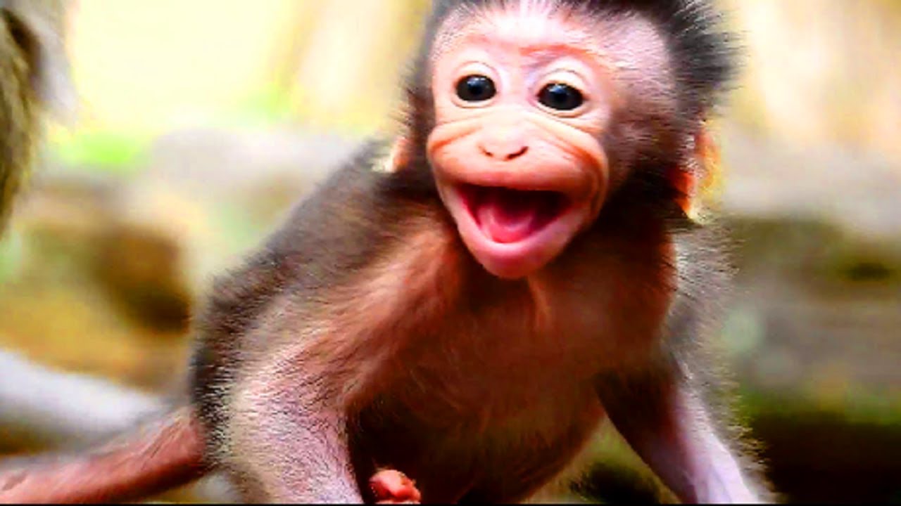 Ah! What a poor baby ! Break heart baby cry loudly | What is going on ...