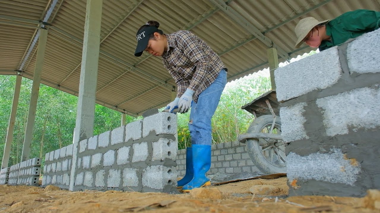 HUE just gave birth to a baby boy, Help HUE build a pig farm, help TINH ...