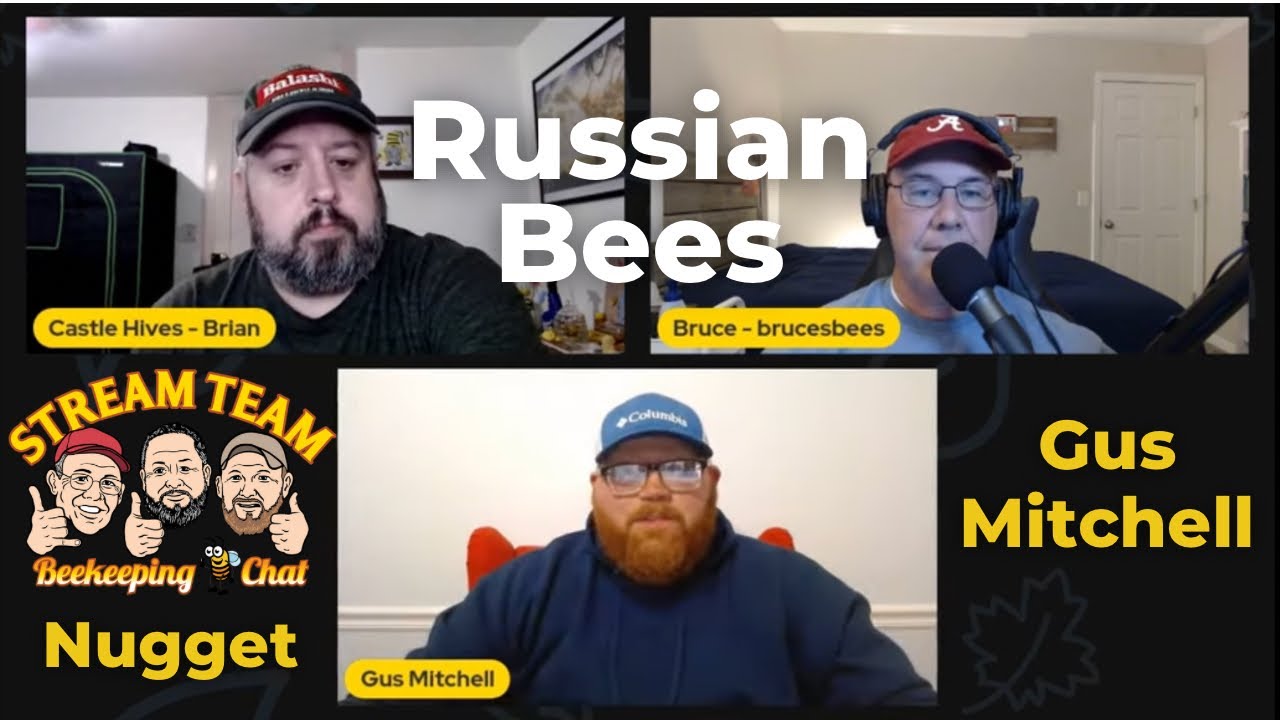 GUS MITCHELL - Russian Honeybees | Stream Team Nugget - YouTube