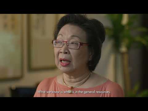 The Story of Tan Kim Seng's Hong Hin Marker
