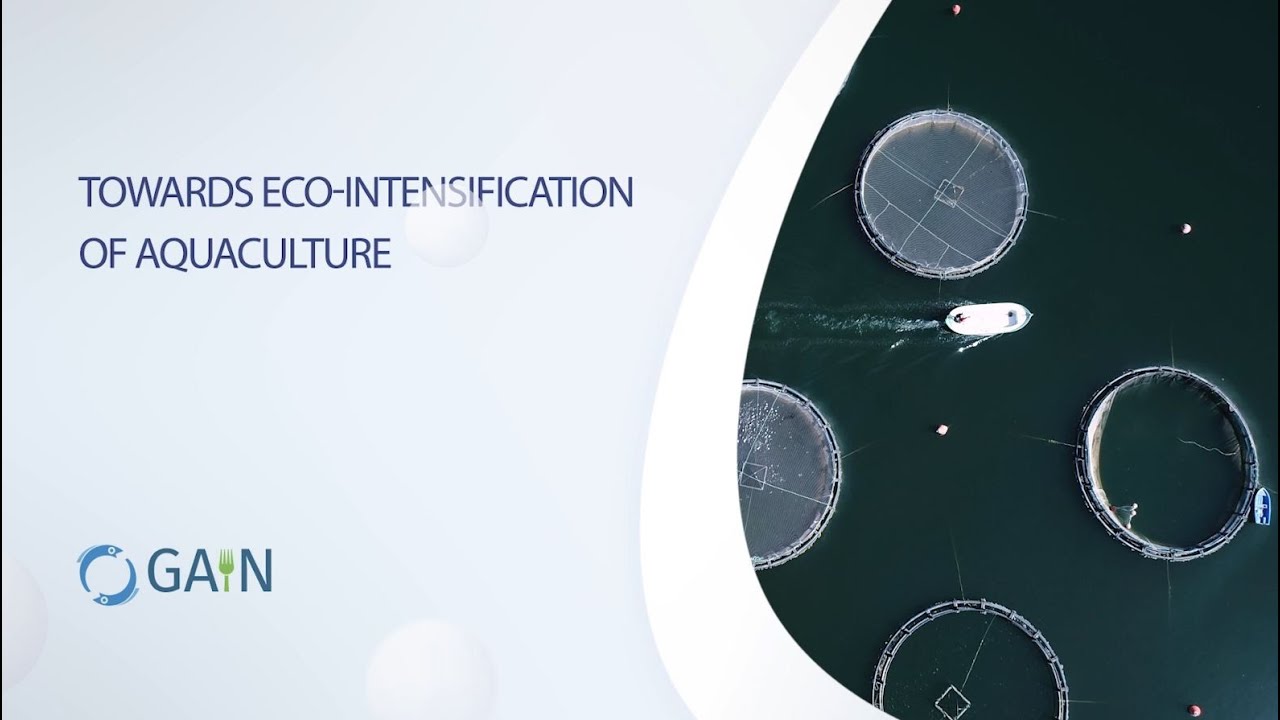 Outcome of the GAIN project – Towards Eco-intensification of ...