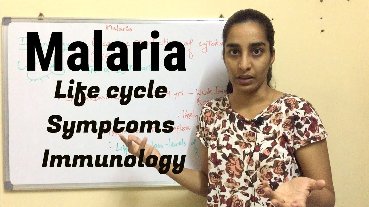 Malaria | Life cycle of Plasmodium | Symptoms of Malaria | Science Land ...