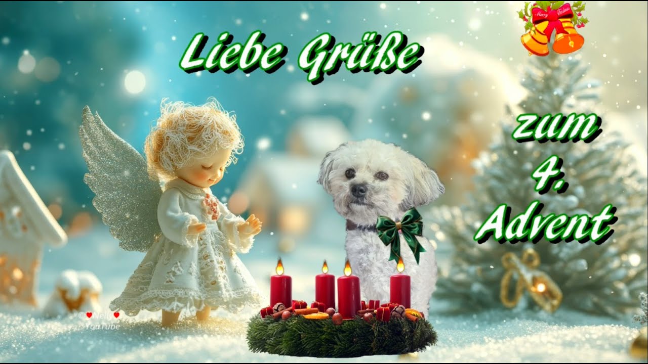 Liebe Grüße zum 4. Advent 💖 ein schönen Adventsonntag und ein frohes ...
