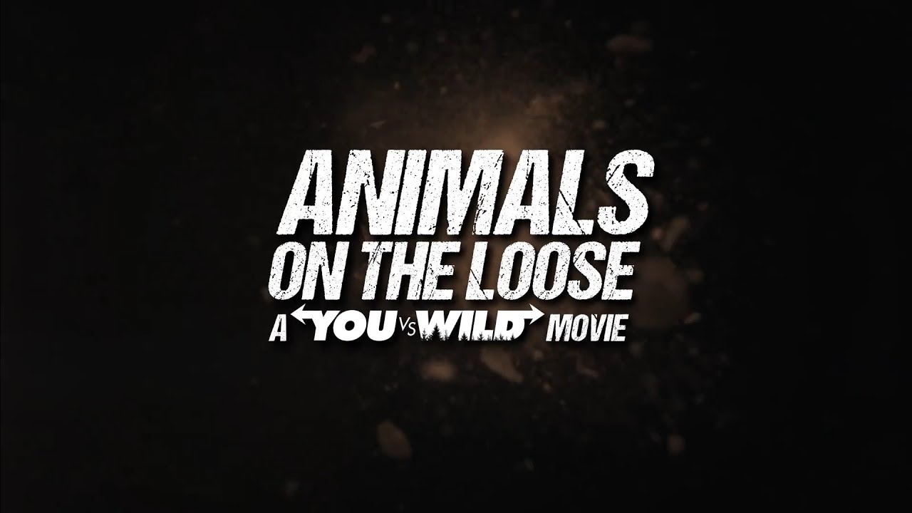 Animals on the Loose: A You vs. Wild Interactive Movie "Trailer" - YouTube