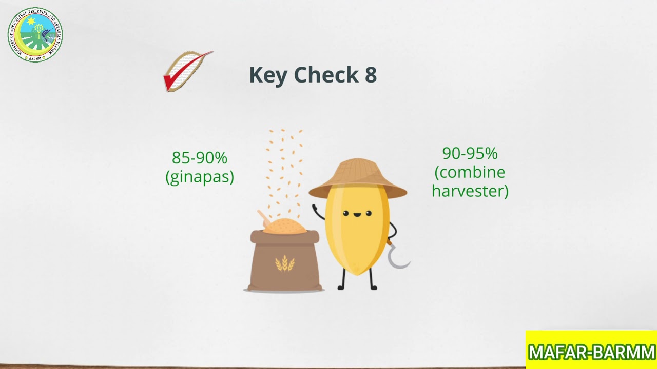 INFO| Sistemang Palay Check : Key Check 7, 8, and 9 - YouTube