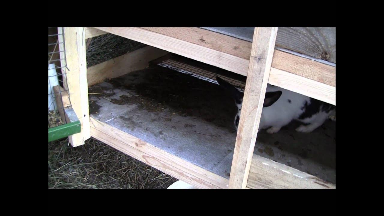 Клетки для кроликов Н И Золотухина - YouTube