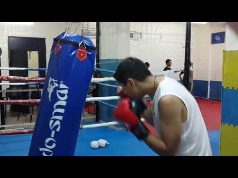 Kick boks yumruk teknikleri