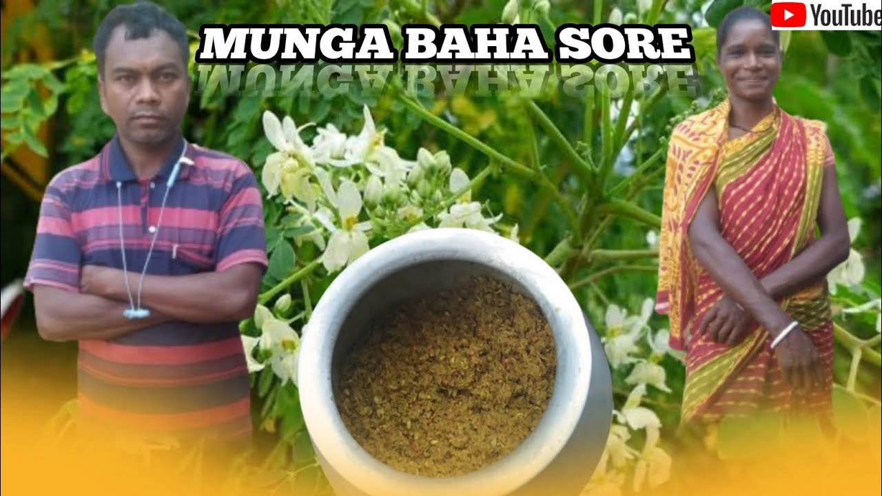 Munga Baha Sore | Briyani Sujuna Vegetable Flower | Baha sole Santali ...