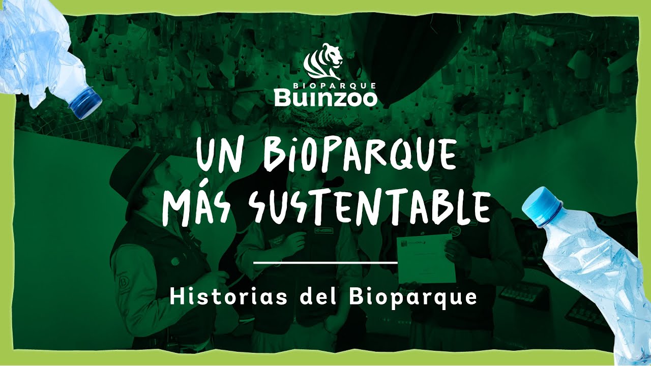 HISTORIAS DE BIOPARQUE - UN BIOPARQUE MÁS SUSTENTABLE - YouTube