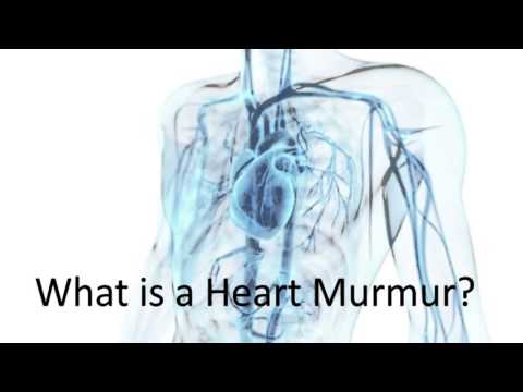 Ask a Cardiologist: What is a Heart Murmur?