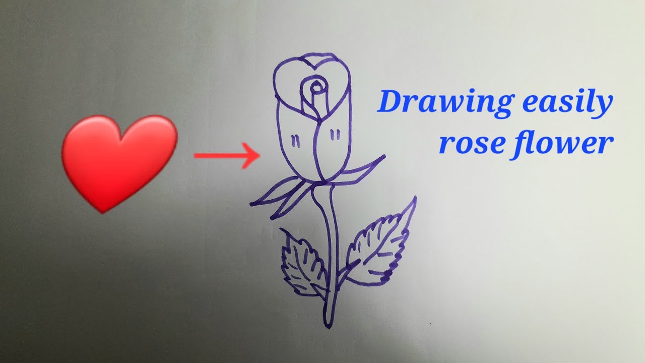 How to draw a rose from love | Drawing rose |Arts Rose | how to draw ...