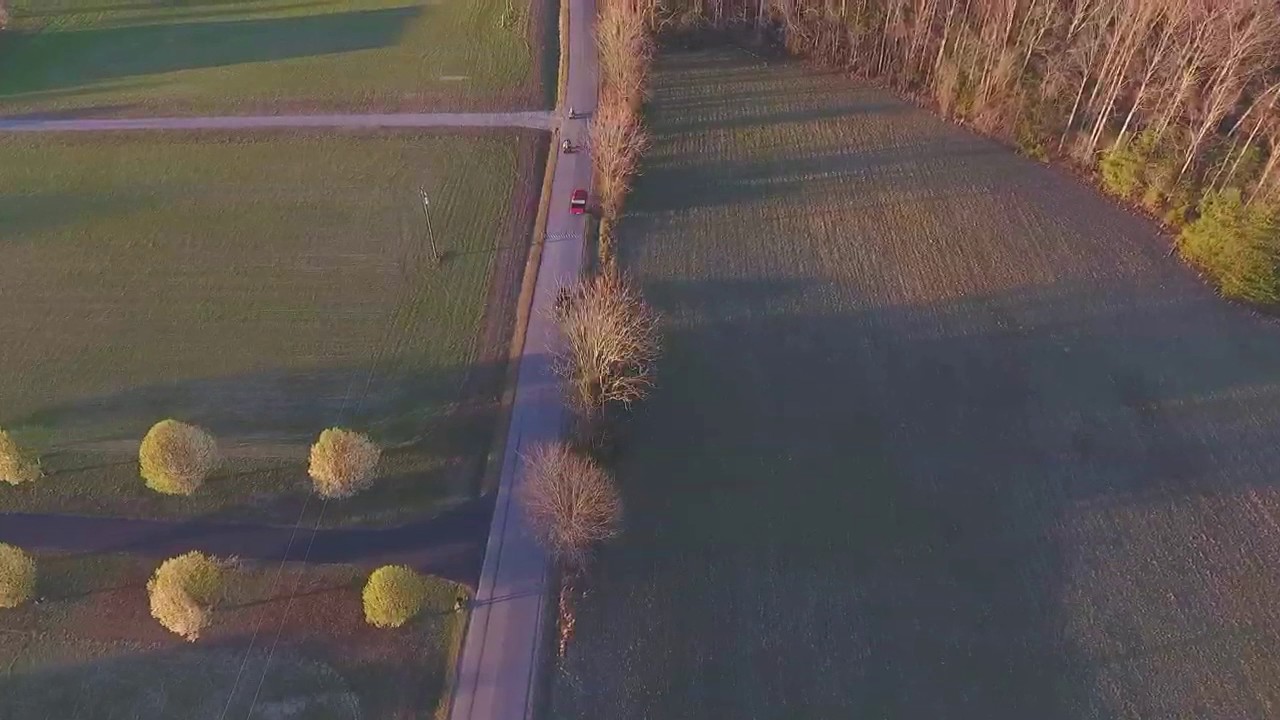 George of the jungle WATCH OUT FOR THAT TREE!!! - YouTube