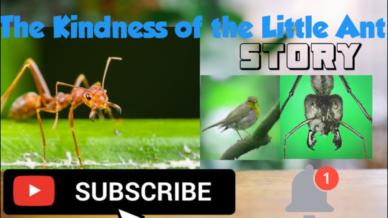 Story in English-The hard work pays of English story-- moral story--The ...