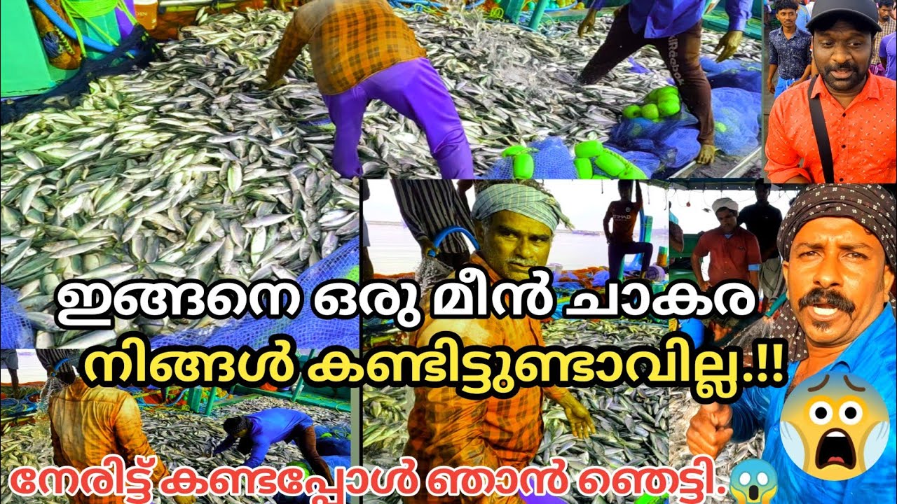 Fish Chakara| ഇതാണ് മക്കളെ മീൻ ചാകര.!😳ഇതേപറ്റി മുക്കുവർക്ക് ചിലത് ...