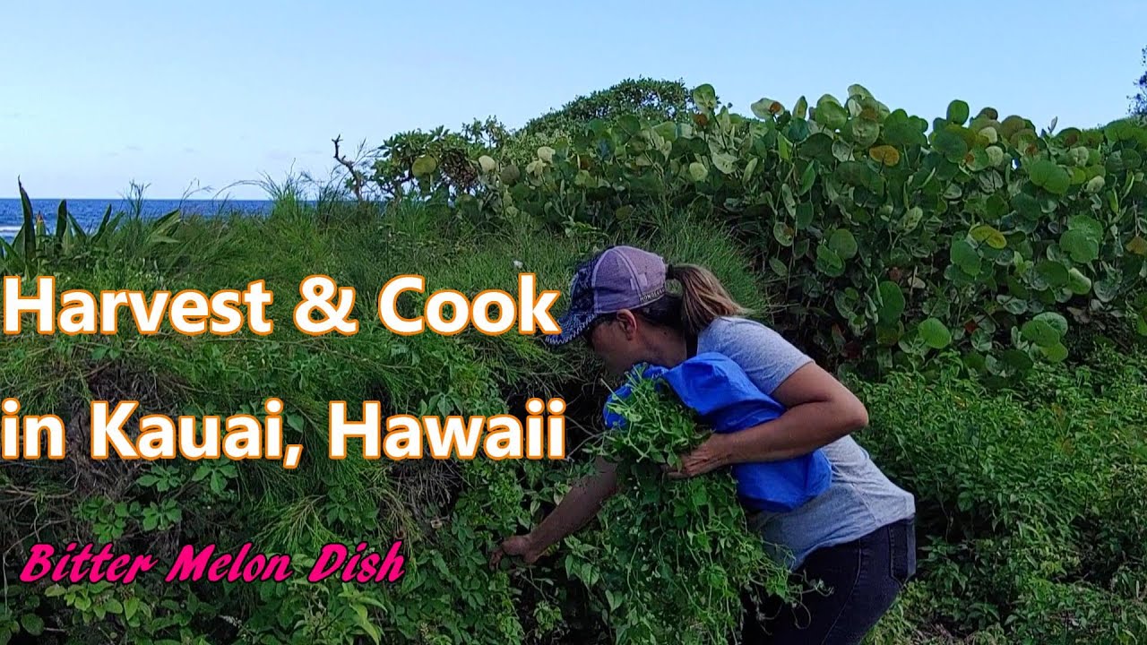 Harvest and Cook in PARADISE, Kauai, Hawaii with Jessie | Our island ...