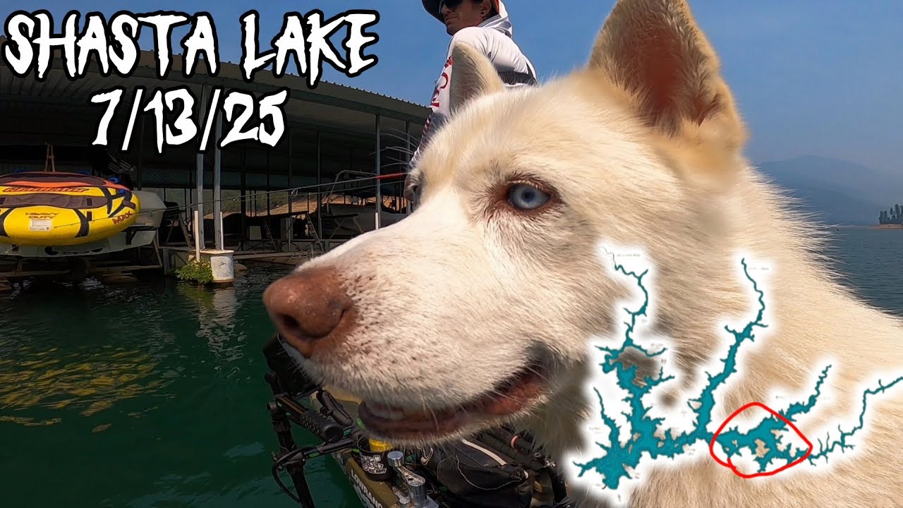 SHASTA LAKE DOG DAYS OF SUMMER. 7/13/25 - YouTube