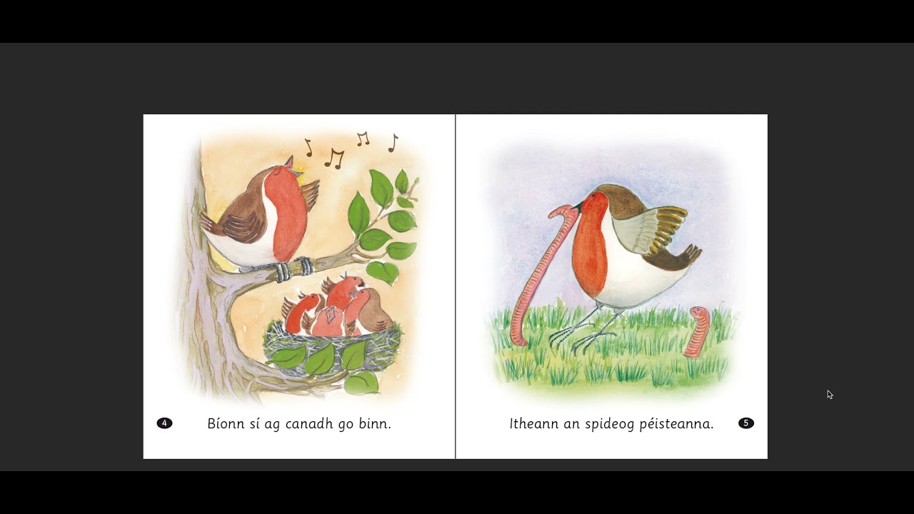 Stories in Irish – An Spideog - YouTube