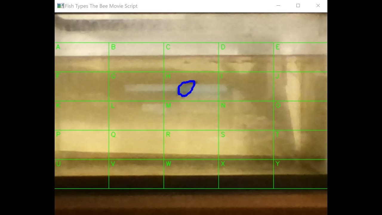 Fish Types Words (Part 5) - YouTube