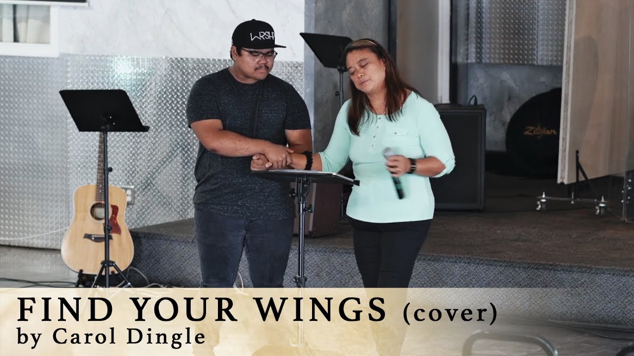 Mark Harris - Find Your Wings (cover) by Carol Dingle - YouTube