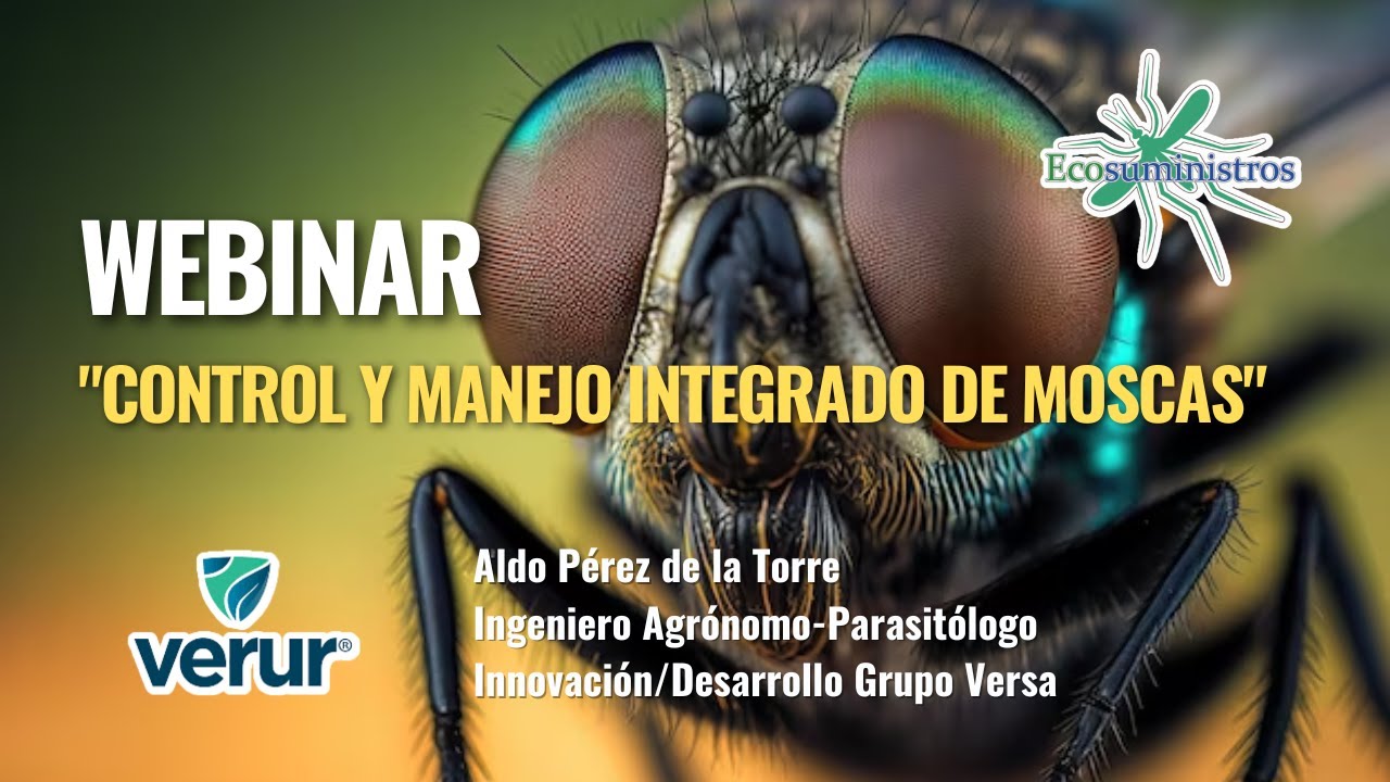 Webinar Control y Manejo Integrado de Moscas Verur - YouTube