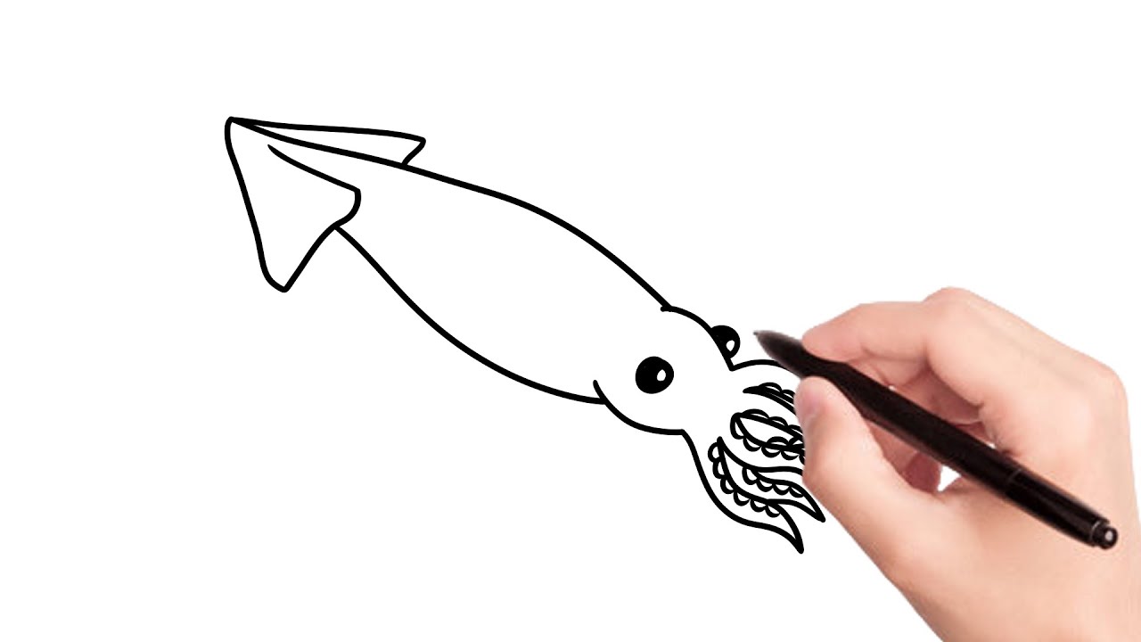 How to Draw a SQUID Easy and Simple - YouTube