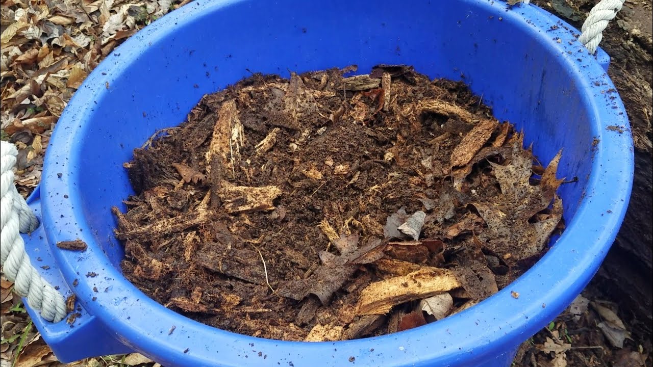 Forest Compost Amendments - YouTube