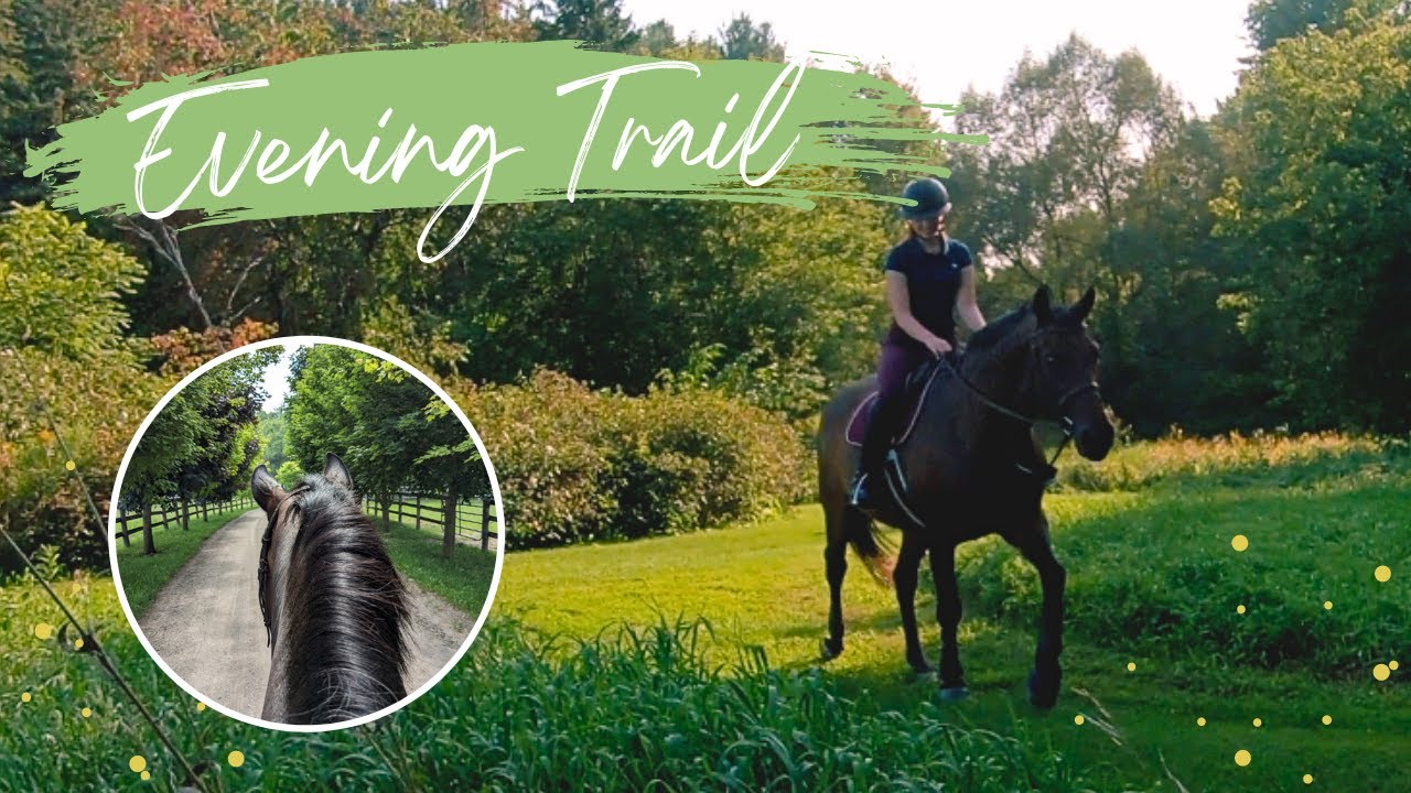 Summer Evening Hack | Come Trail Riding With Me - YouTube